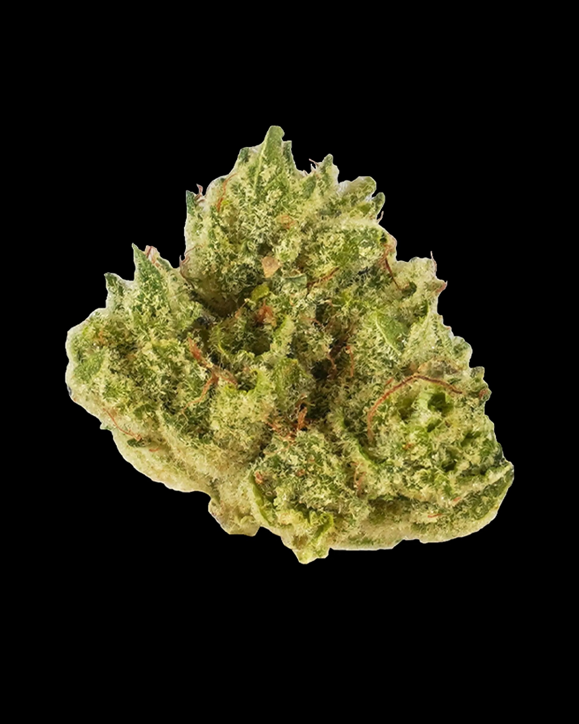 THCa Flower- GG4: Potent Indoor Cultivated Hybrid Strain